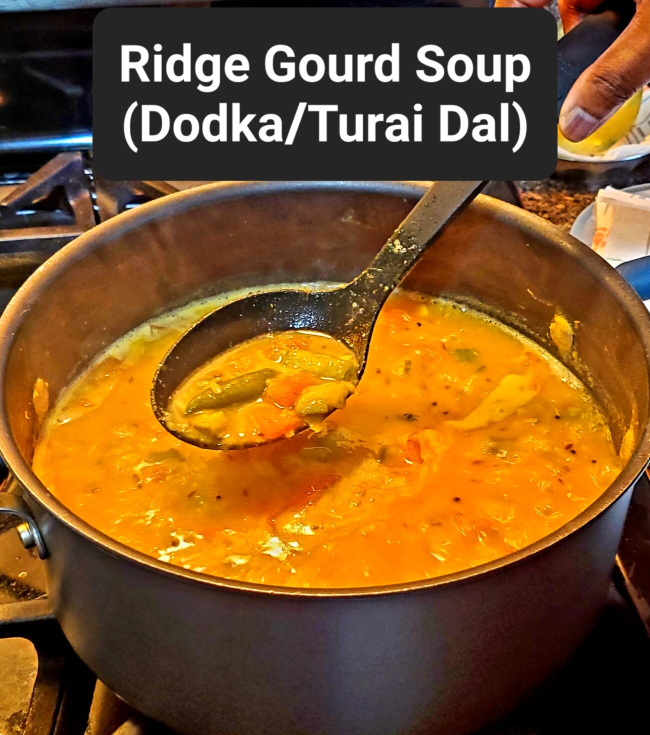 Ridge Gourd Soup (Dodka/Turai Dal)-1 - Dr. Savitra