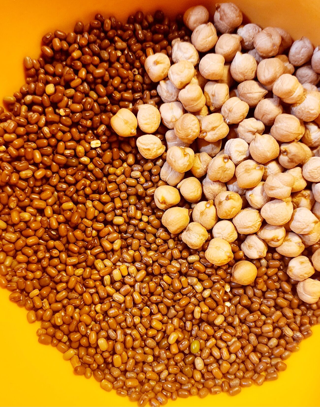 Moth Bean (Matki) Curry - Dr. Savitra